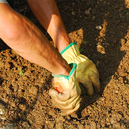 Shop Agricultural Gloves - Gloves.co.uk